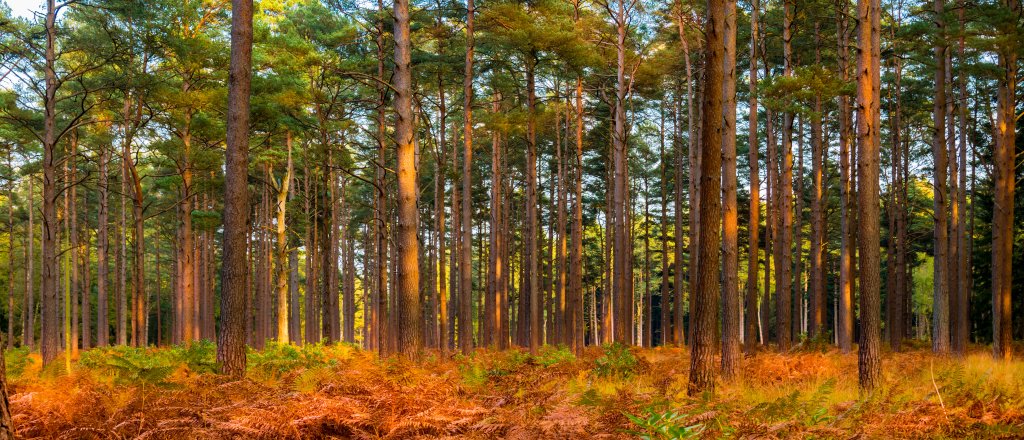 Esrel 2023 European Safety And Reliability Conference 2023