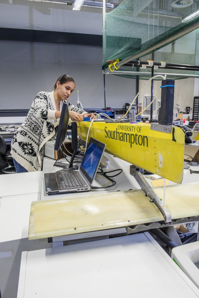 Flapping with Fleur | Maritime Engineering and Ship Science