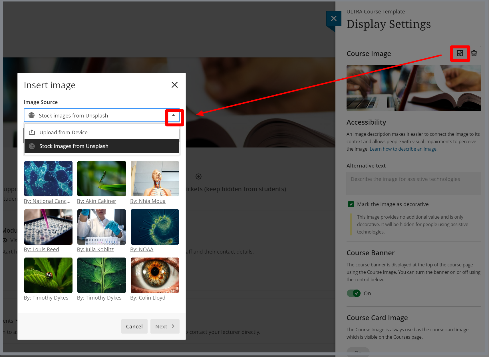 Blackboard Ultra – Change your Course Banner Image – eLearning Support ...
