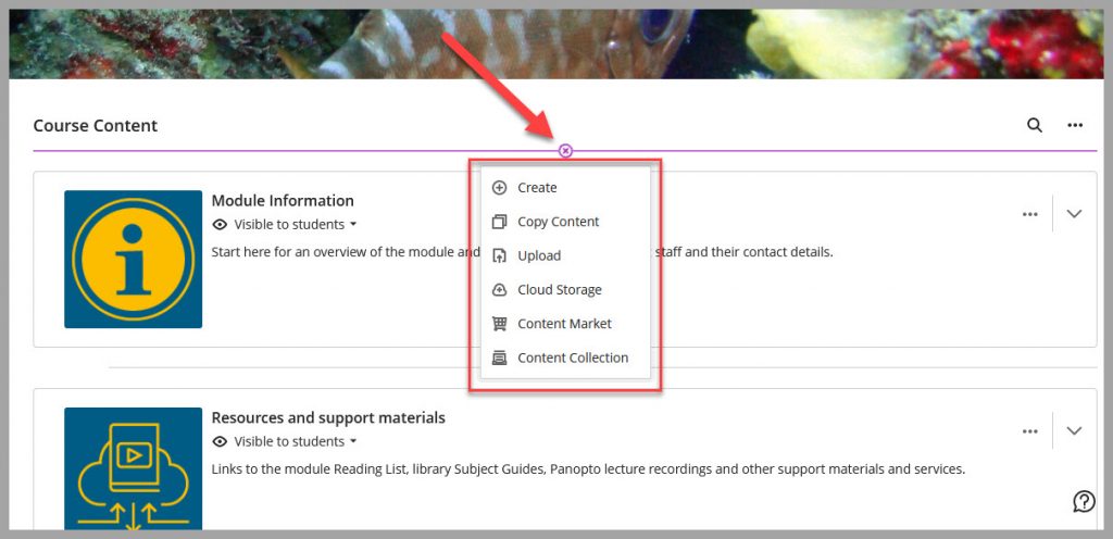 Blackboard Ultra – Create and Edit Content – eLearning Support and Resources