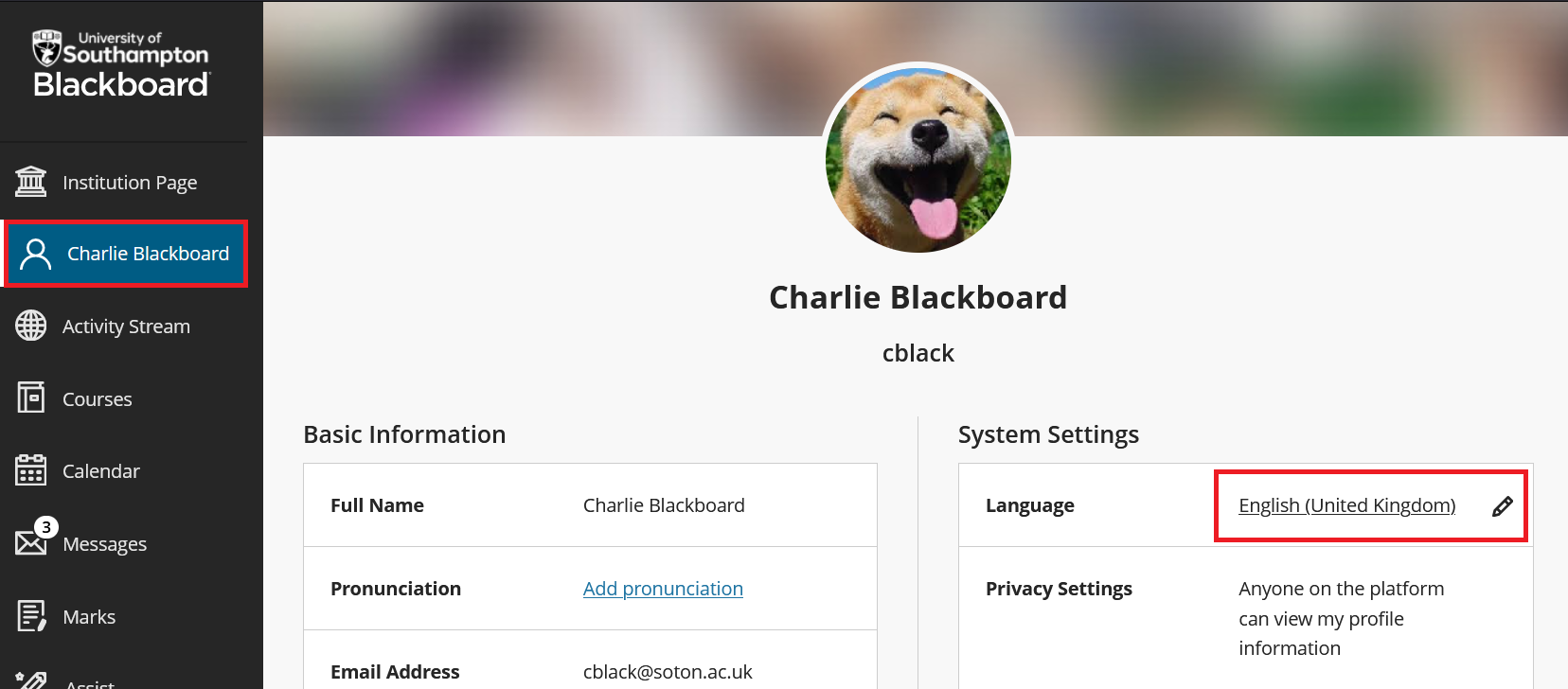 Blackboard Ultra – Language settings – eLearning Support and Resources