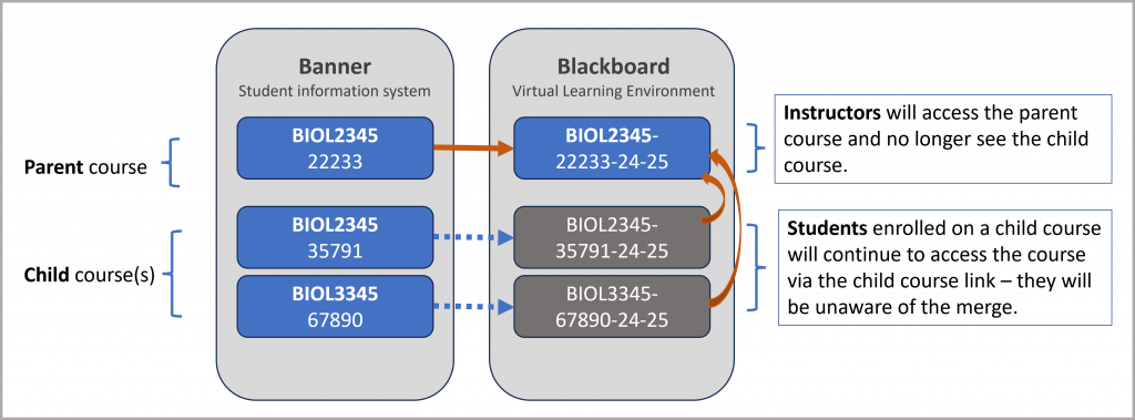 Blackboard – Request and manage merged enrolments – eLearning Support ...
